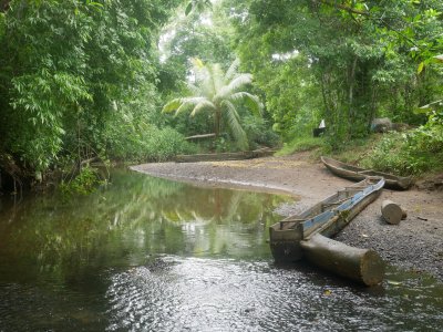 Quel parc national découvrir au Panama ? | ToutPanama